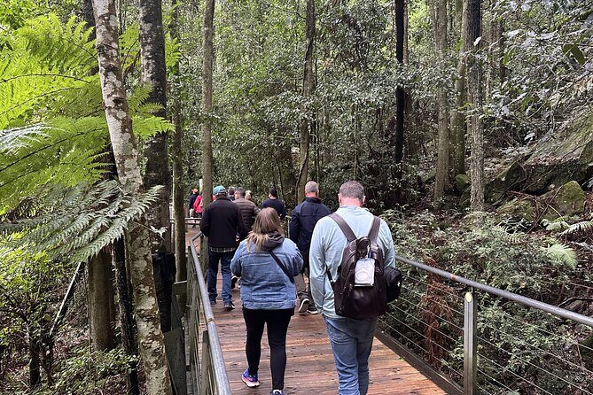 Ultimate All Inclusive Blue Mountains with Scenic World Tour - Final Thoughts: Is This Tour for You?