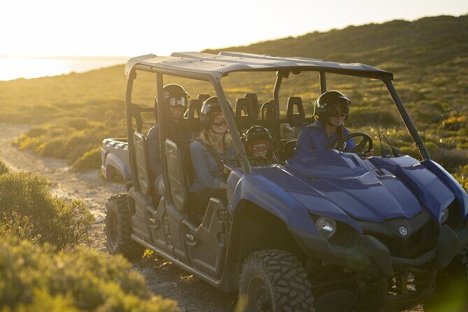 Ultimate Buggy Tour in Kangaroo Island - What Is the Ultimate Buggy Tour?