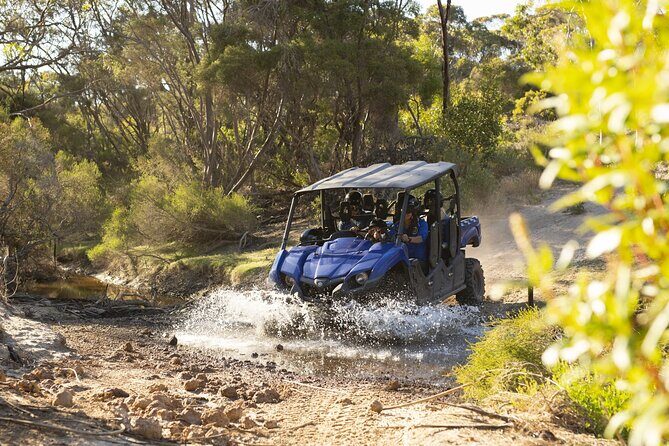 Ultimate Buggy Tour in Kangaroo Island - Practical Information