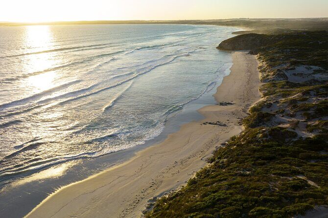 Ultimate Buggy Tour in Kangaroo Island - FAQs