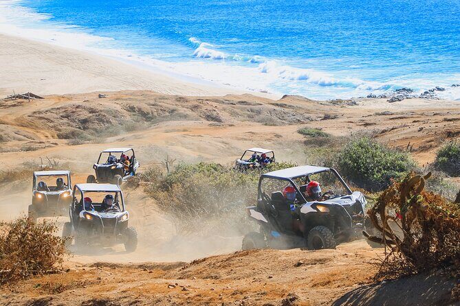 Ultimate Cabo Adventure UTV Horseback and Sky Bike Combo - The Sum Up