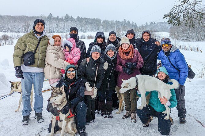 Ultimate Dog Sledding Tour - Day trip from Ottawa & Gatineau - A Closer Look at the Experience