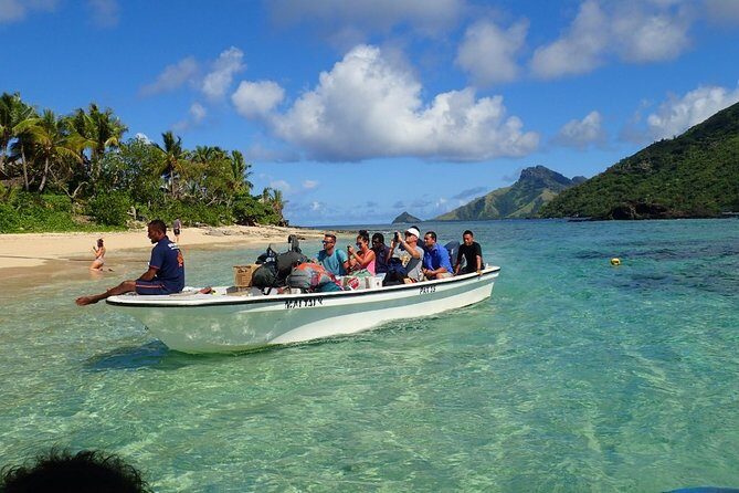 Ultimate Encounter Snorkel with Sharks in Fiji - The Pros and Cons