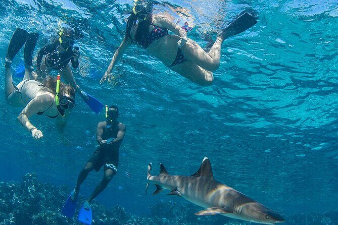 Ultimate Encounters Package - 2 Days | 1 Night - Transportation and Logistics