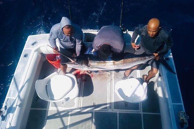 Ultimate Fishing Experience in Cabo - The Experience’s Drawbacks