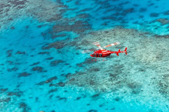 Ultimate Great Barrier Reef and Rainforest 45-minute Helicopter Tour - The Experience Breakdown