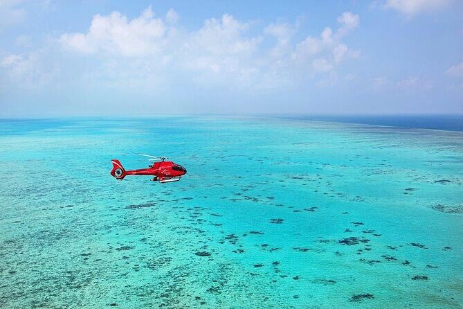Ultimate Great Barrier Reef and Rainforest 45-minute Helicopter Tour - Final Thoughts