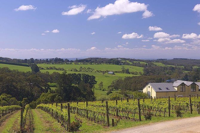 Ultimate Mornington Peninsula Food and Wine Small Group Tour - FAQ