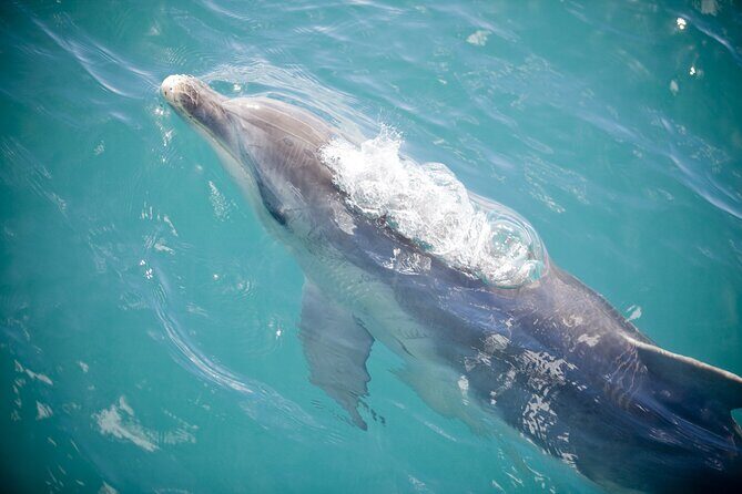 Ultimate Peninsula Adventure: Stand Up Paddle, Hot Springs, Hike, Lunch & Winery - FAQs