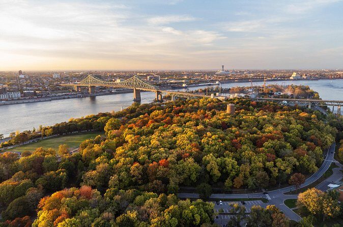 Ultimate Private Montréal City Tour: Culture, Views, Local Flavor - Panoramic Views and Relaxation