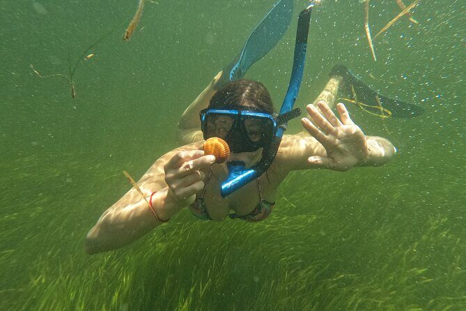 Ultimate Private Scalloping Adventure in Crystal River - FAQ