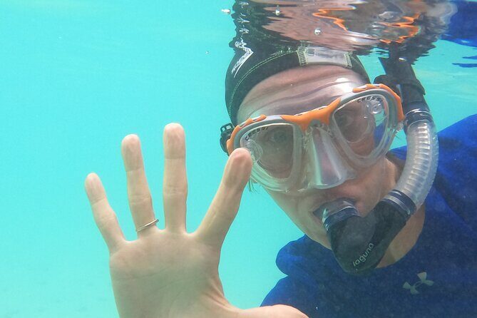 Ultimate Upolu Highlights Tour  Apia Cruise Ship Shore Excursion - Practical Tips for Travelers