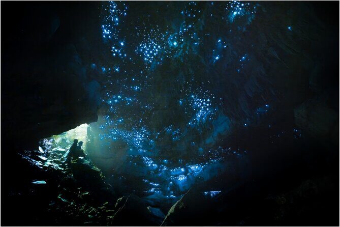Ultimate Waitomo Glowworm Tour  Private, Tailored, After Dark - Introduction