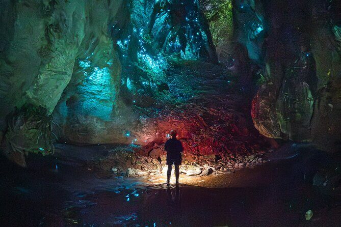 Ultimate Waitomo Glowworm Tour  Private, Tailored, After Dark - Key Points