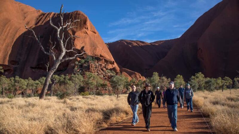 Uluru Highlights Small Group Morning Tour + Picnic Breakfast - The Morning Begins: Hotel Pickup and Scenic Drive