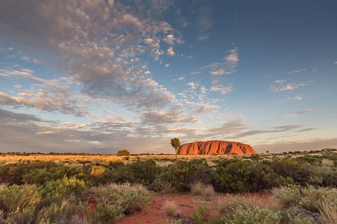 Uluru, Kata Tjuta and Kings Canyon Camping Safari from Alice Springs - Key Points