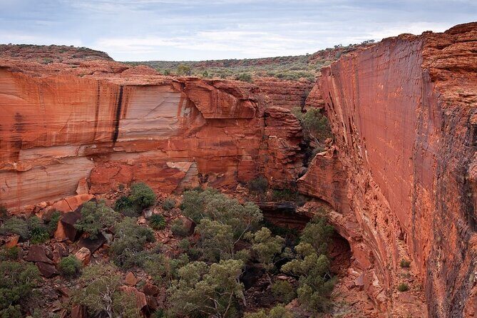 Uluru, Kata Tjuta and Kings Canyon Camping Safari from Ayers Rock - An In-Depth Look at the Tour Experience