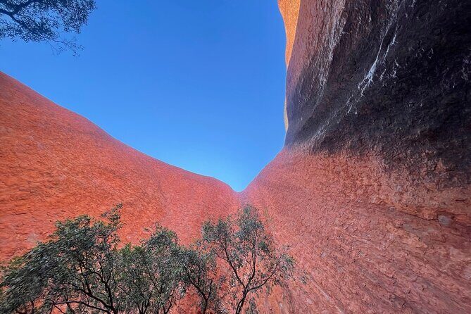 Uluru Private Tour Aboriginal guided option - Why Reviewers Love This Tour