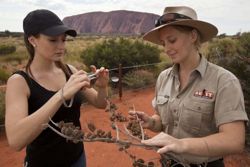 Uluru: Small Group Guided Tour with Sunset Refreshments - An In-Depth Look at the Tour Experience