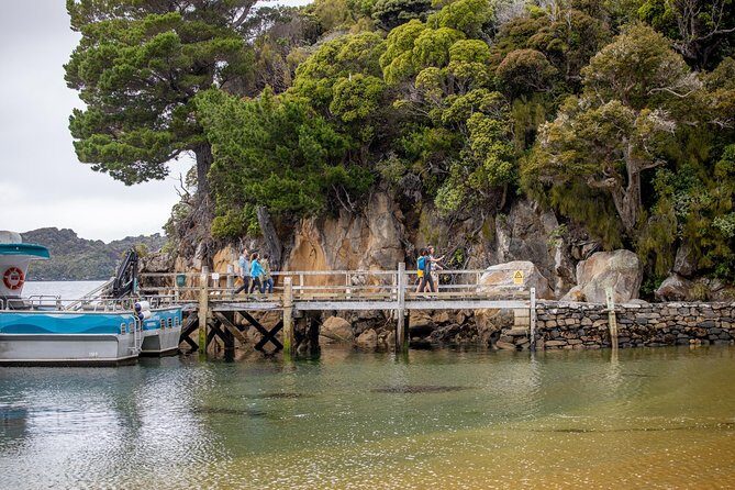 Ulva Island Explorer from Stewart Island - Who Should Book This Tour?