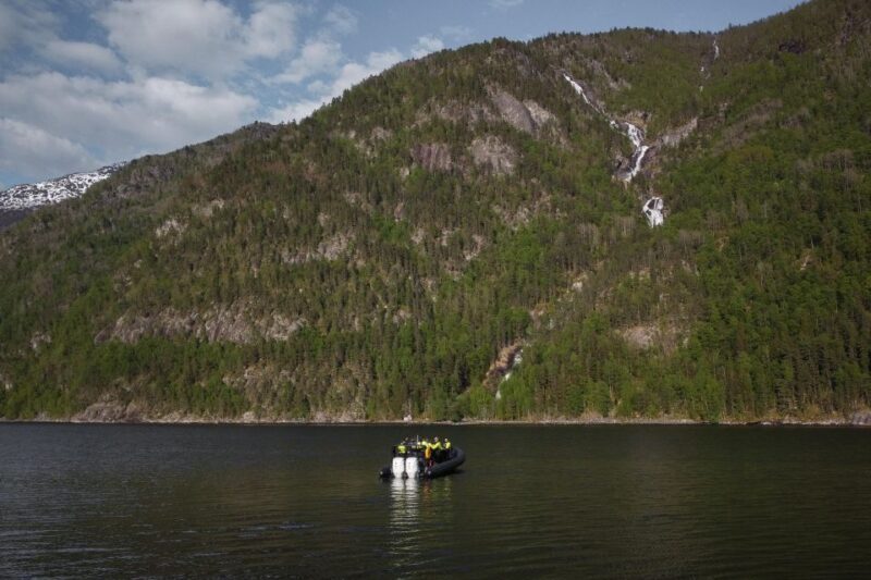 Ulvik adventure: Exploring Hardangerfjord's Osafjord by RIB - An Exciting Way to See Norway’s Fjords