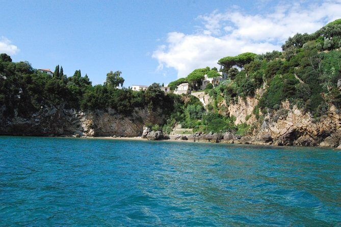 Ulysses Coast Boat Tours - Why Choose Ulysses Coast Boat Tours?