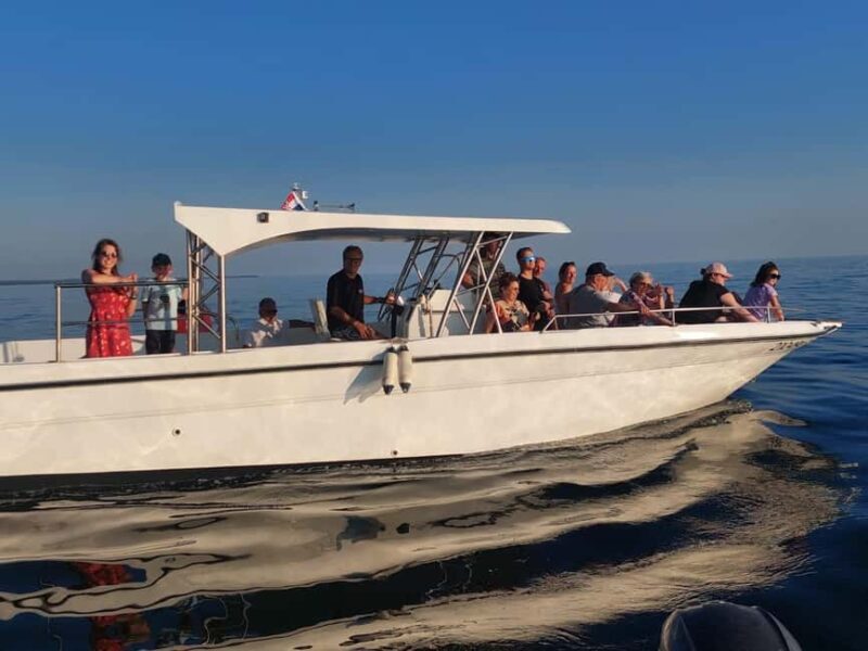 Umag: Dolphinwatching & sunset panorama tour - An In-Depth Look at the Tour Experience