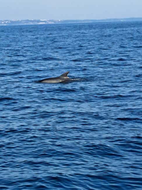 Umag; Premium Private Boat Tour with Captain - Key Points