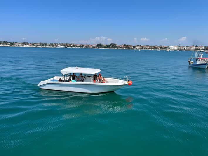 Umag: Snorkeling&dolphinwatching morning tour adventure - The Itinerary in Detail: What You Can Expect