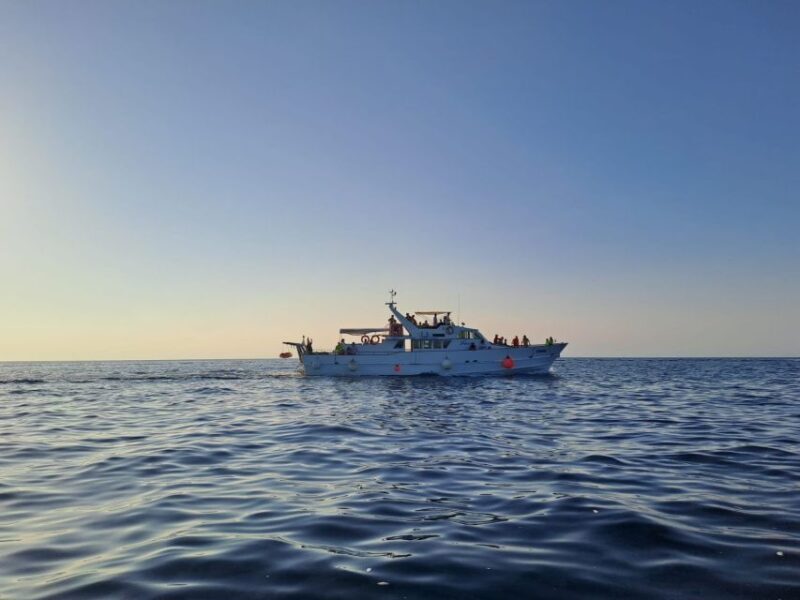 Umag: Sunset Cruise with Dolphin Spotting - Key Points