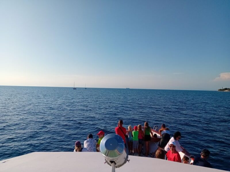 Umag: Sunset Cruise with Dolphin Spotting - A Deep Dive into the Experience