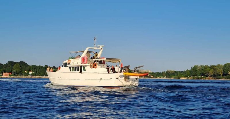 Umag: Sunset Cruise with Dolphin Spotting - The Sum Up