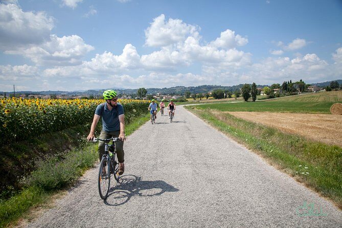 Umbria E-Bike & Wine Tour through Vineyards and Olive Groves - Key Points