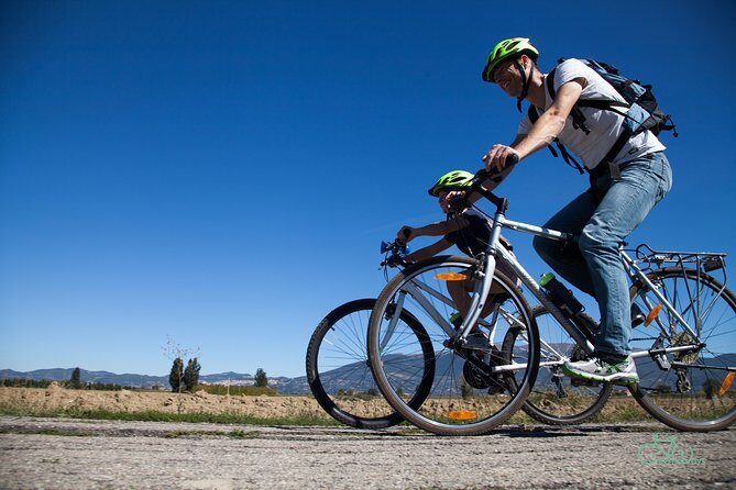 Umbria E-Bike & Wine Tour through Vineyards and Olive Groves - The Sum Up