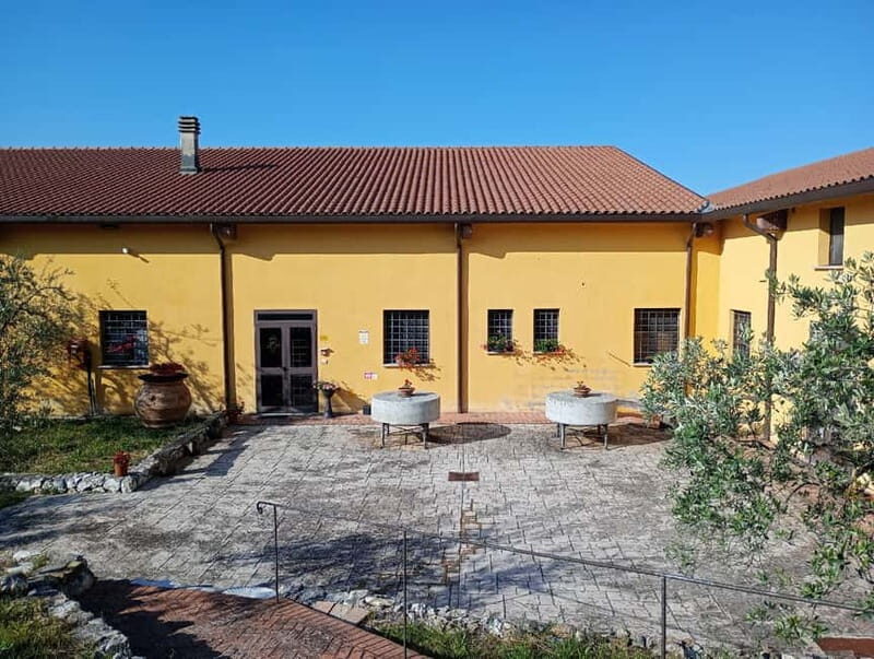 Umbria: guided tour to traditional oil mill + tasting - Exploring the Experience: What to Expect