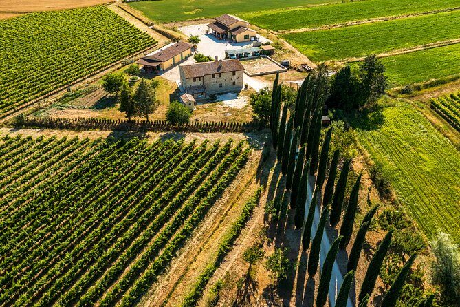 Umbria Mia: Tasting with the Winemaker and Tour of the Cellar. - Who Should Consider This Tour?