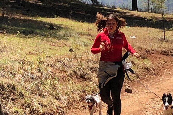 Umecuaro All Inclusive Tour and Guided Tours in Morelia - Who Is This Tour Best Suited For?