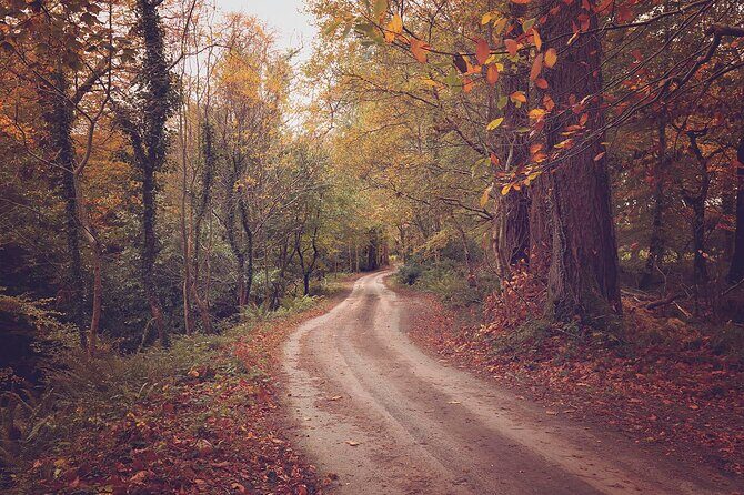 Uncover the Ring of Kerry & Kerry Cliffs -Private Luxury Day Tour - Key Points