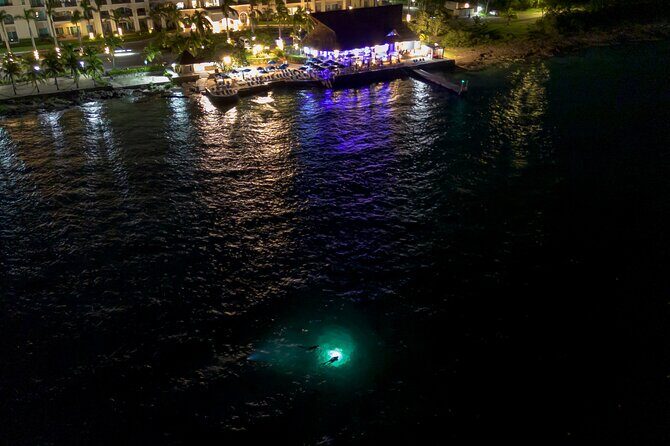 Under the Stars Twilight Snorkel and Seaside Dinner at Money Bar - Under the Stars Twilight Snorkel and Seaside Dinner at Money Bar: A Deep Dive into an Unforgettable Cozumel Experience