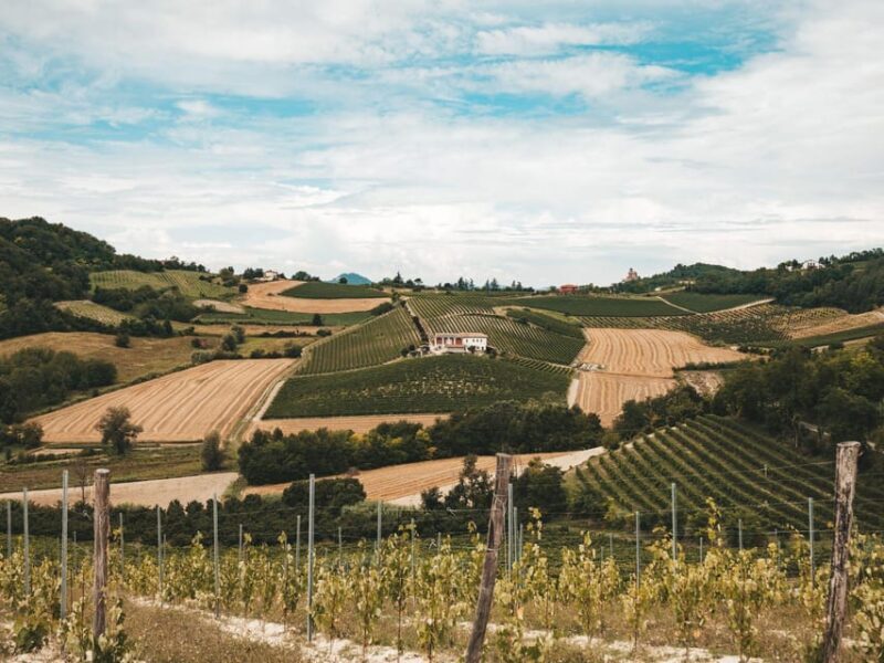 Underground Cave Visit with Food & Wine Tasting near Asti - Key Points