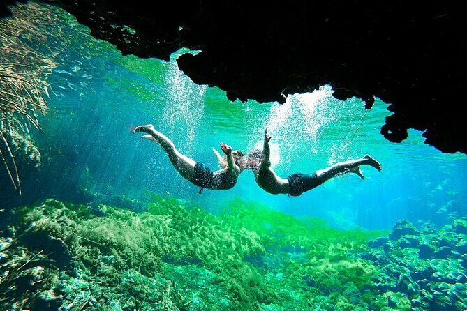 Underground Cenotes Snorkeling Tour with Mayan Snack - An Honest Look at the Underground Cenotes Snorkeling Tour with Mayan Snack