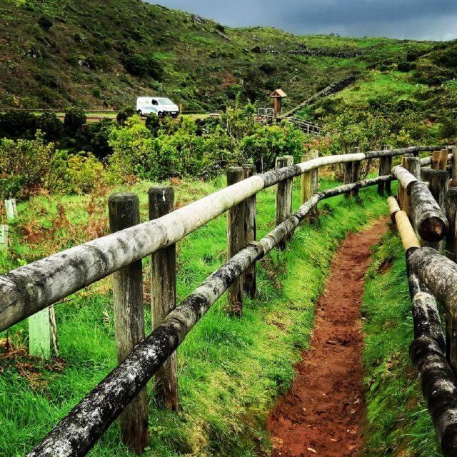Underground Van Tour (Half Day) | Terceira Island - FAQs