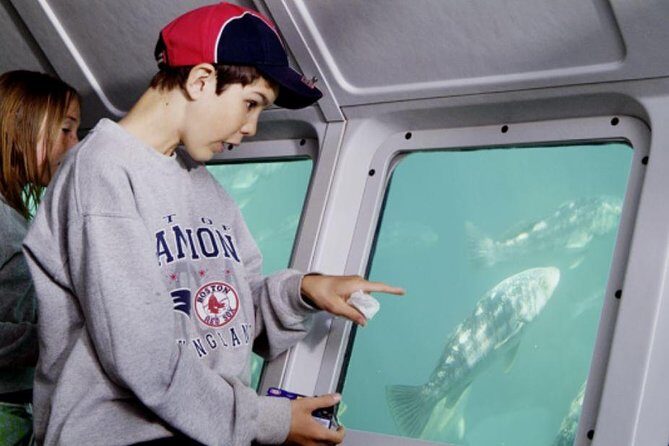 Undersea Expedition: Catalina Island Tour - An In-Depth Look at the Catalina Undersea Tour Experience