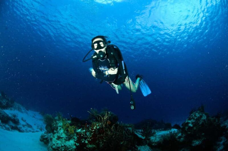 Underwater Museum Musa : SCUBA DIVING FOR BEGINNERS - What to Expect from This Cancun Underwater Adventure