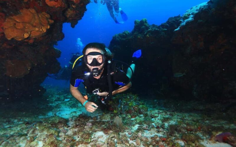 Underwater Museum Musa : SCUBA DIVING FOR BEGINNERS - Who Is This Tour Best For?