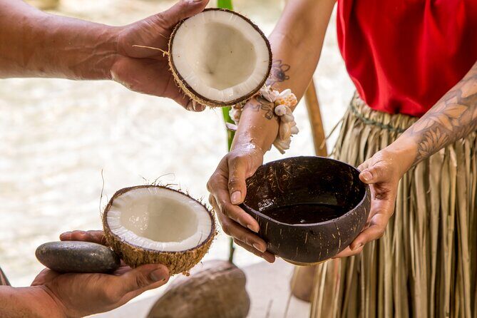 Underwater Observatory & Coconut Experience - Why This Tour Is Worth Considering  