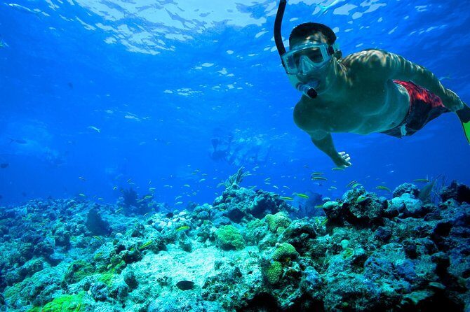 Underwater Snorkel Experience day in Cozumel with Transportation from Cancún - Transportation and Group Dynamics