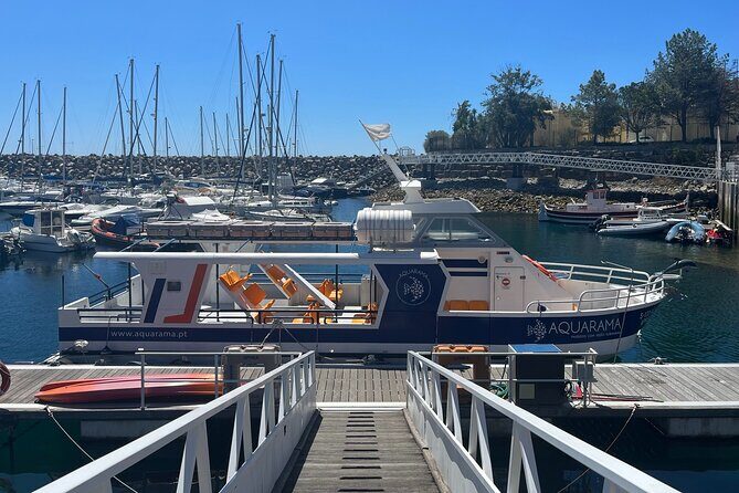 Underwater viewing tours along the coast of Sesimbra - Is It Worth It?