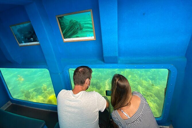 Underwater viewing tours along the coast of Sesimbra - The Sum Up