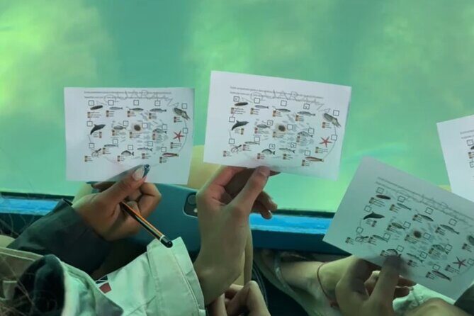 Underwater viewing tours along the coast of Sesimbra - FAQ